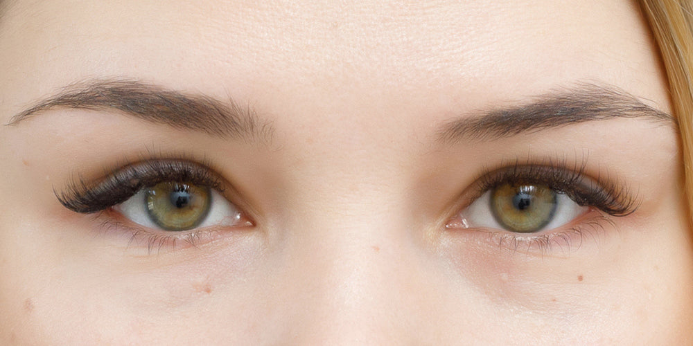 Soft Powder Brows | Rachella Koster